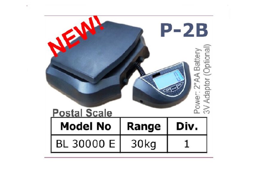 Series P2B 40kg/1g - Kerroscale